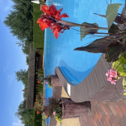 Poilsis šeimai (2+2) sodyboje Karpynė su maitinimu, baseinu ir pirtimi